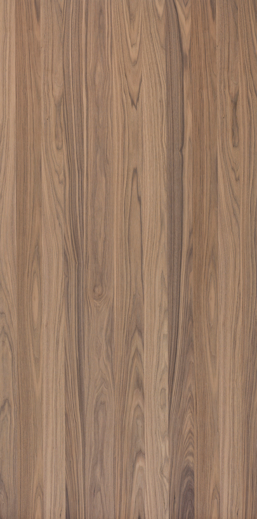 Shinnoki Slab Collection